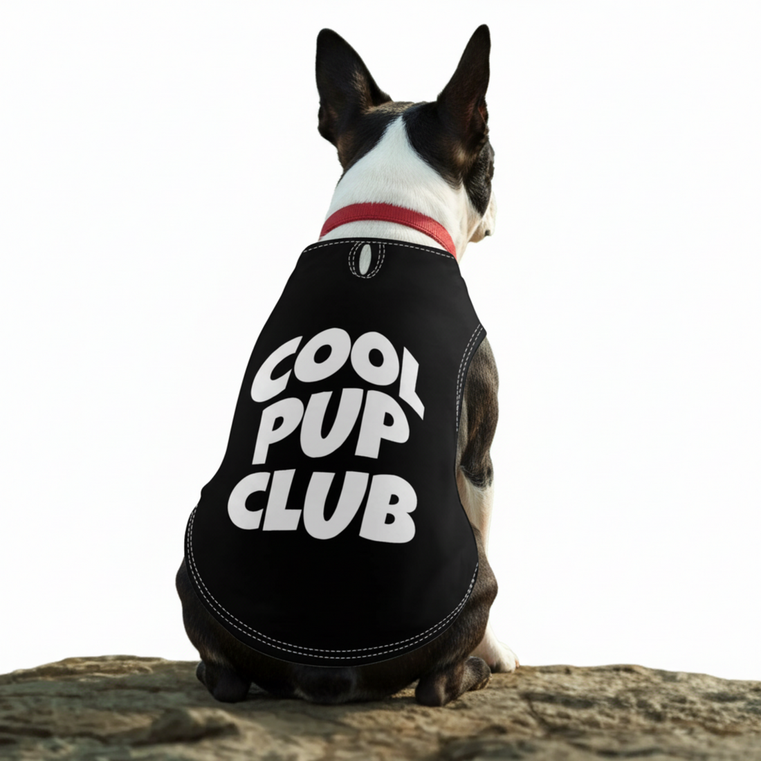 Cool Pup Club Dog Shirts – Boston Terrier World