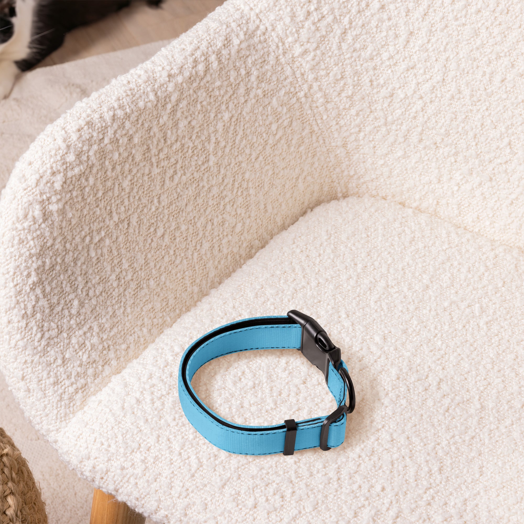 Sky Blue Dog Collar – Boston Terrier World